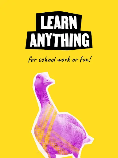 Sizzle - Learn Anything, Learning AI App - AI Companion