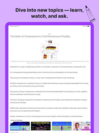 Sizzle - Learn Anything, Learning AI App - AI Companion